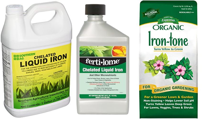- Top 5 Iron Fertilizers: Your Plant Health Guide