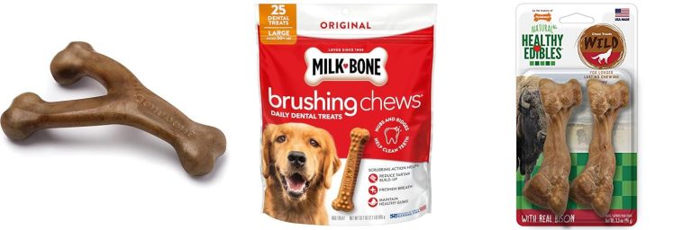 Top 5 Chew Bones For Dogs: Your Ultimate Guide