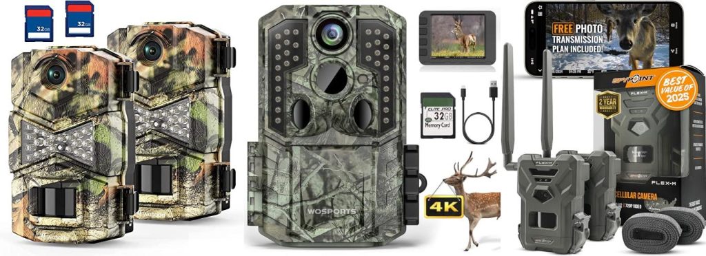 Top 5 Trail Cameras: Your Essential Buying Guide