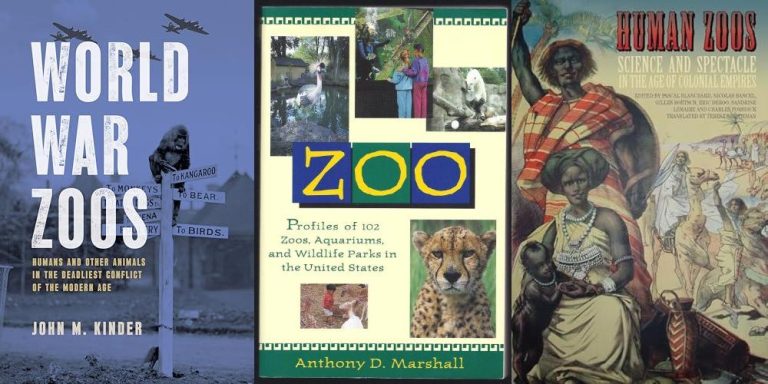 Best Zoos In Us - Top 5 Picks & Review